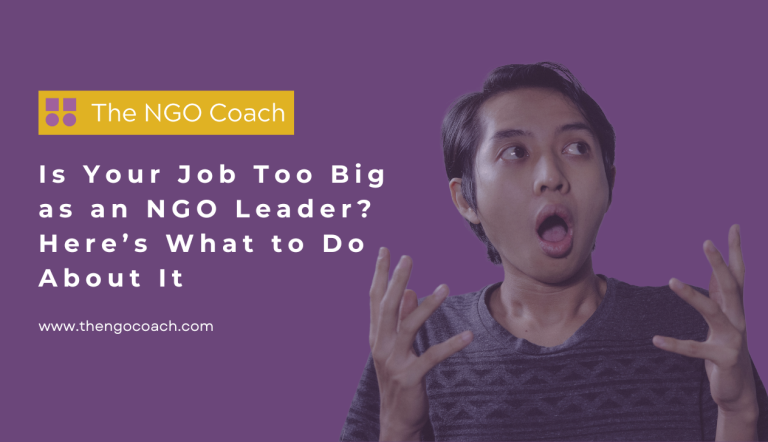 If Your Job Is Too Big - The NGO Coach